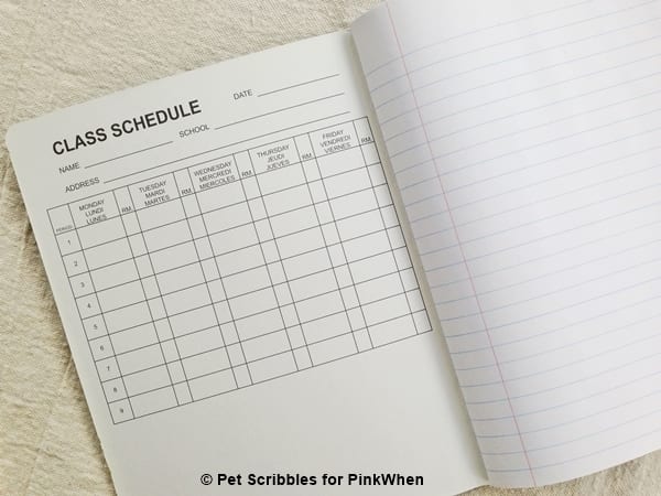 Altered Composition Book | PinkWhen