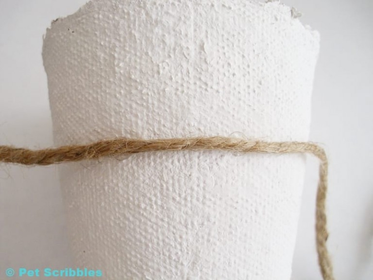 Peat Pot Wedding Favors DIY and Video - Garden Sanity by Pet Scribbles