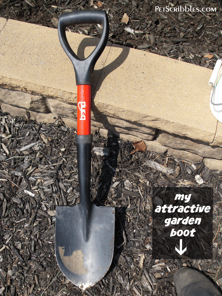 Shovel Love: being petite in the garden has its advantages! - Pet Scribbles