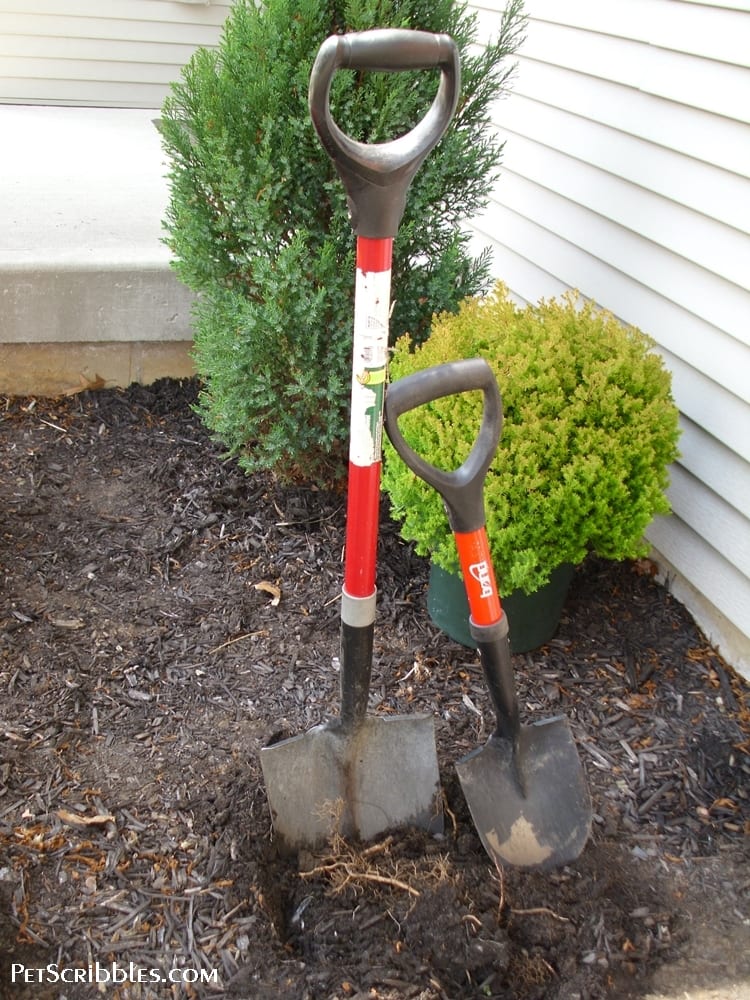 What Is A Little Garden Shovel Called at Jerome Cairns blog