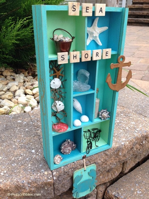 How to Make a Beach Memory Display - Garden Sanity by Pet Scribbles