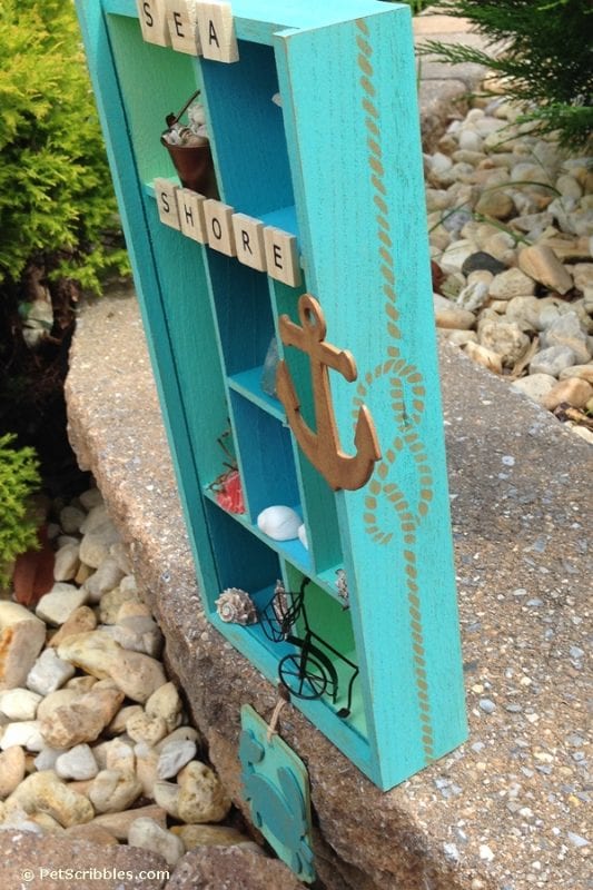How to Make a Beach Memory Display - Garden Sanity by Pet Scribbles