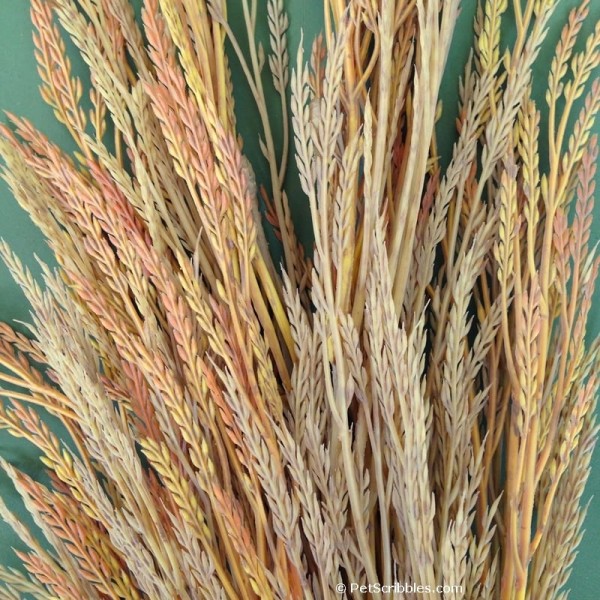 How to update your Fall floral arrangements - Garden Sanity by Pet ...