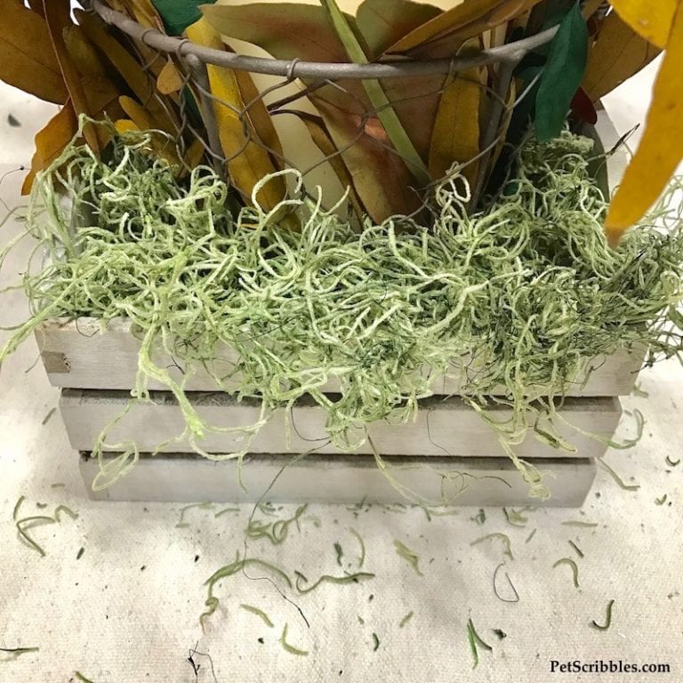 How to Create a Lovely Fall Farmhouse Tray - Garden Sanity by Pet Scribbles