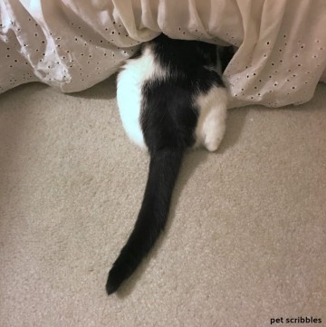 Introducing Ivan Karl, the heart mender we needed! - Garden Sanity by ...