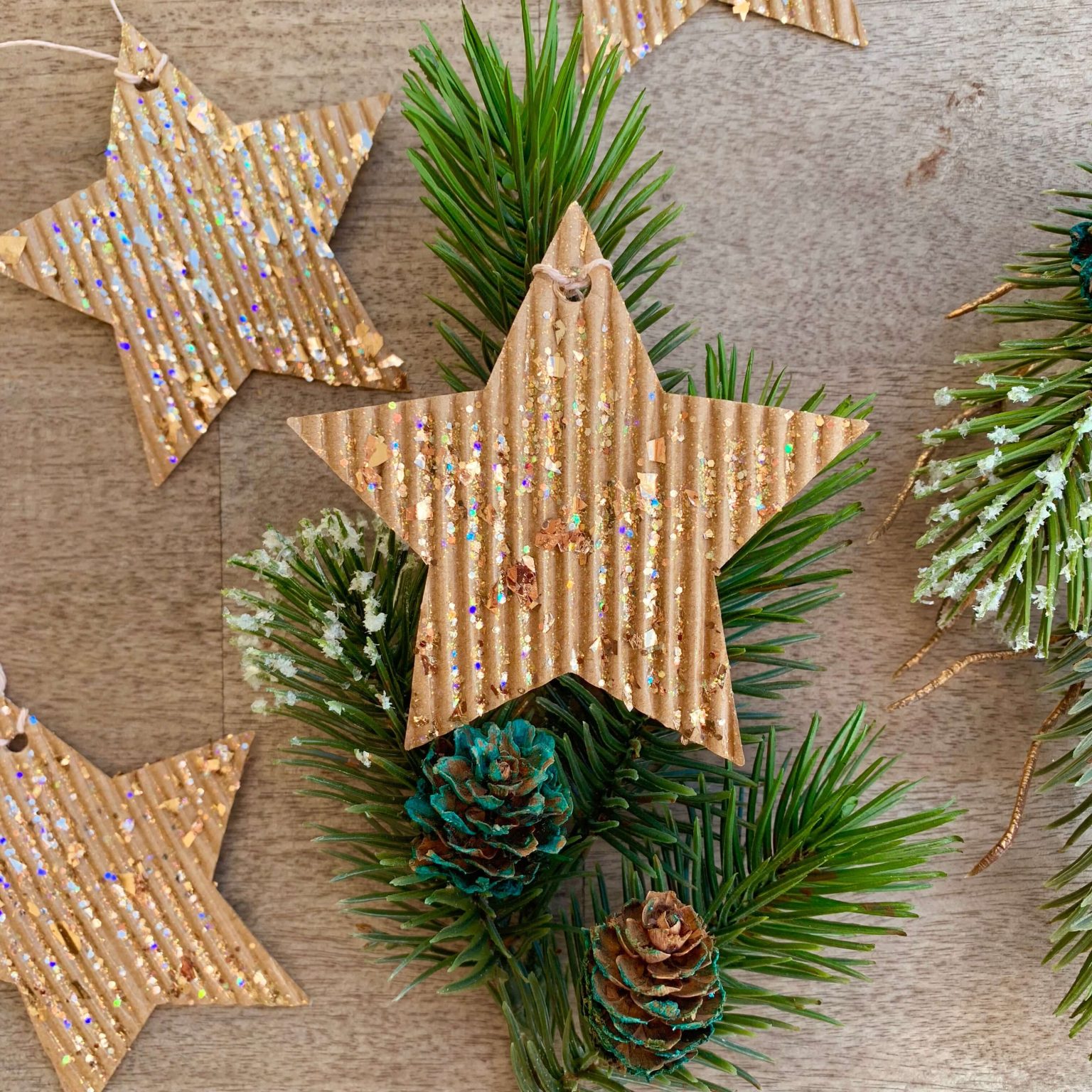 Glitter Cardboard Star Ornaments - Garden Sanity by Pet Scribbles